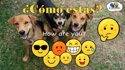 ¿Cómo estás? (How are you?) Spanish video for kids! by Mi Camino Spanish
