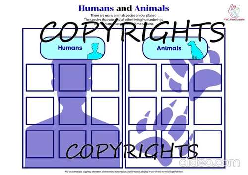 SORTING, busy binder, adapted book, work binder, special education ...