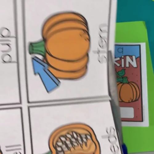Pumpkins Interactive Vocabulary Readers Fall Readers Kindergarten