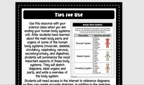 Human Body Systems (End of Unit Project) - File Folders by Positively Sunny