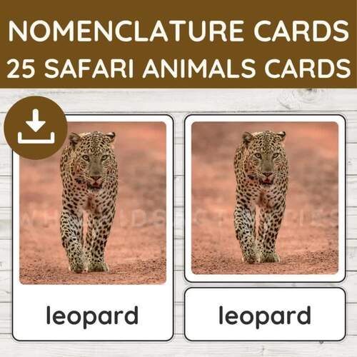 25 Montessori Safari Animal Flashcards | 3-Part Nomenclature Cards | Poster