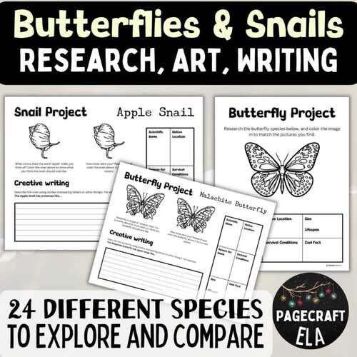 Butterfly and Snail Project | Research 24 Species | Coloring & Creative ...