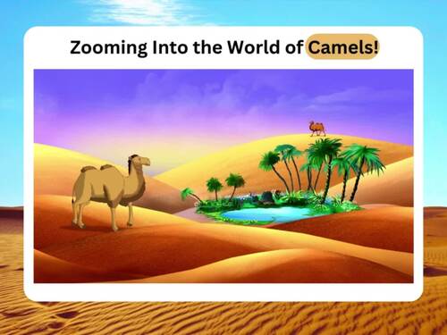 NO PREP All About Camel Presentation, A Wild Animal Adventure 3rd-6th Grade
