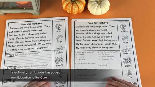 "Practically 1st Grade" Reading Comprehension Passages for November