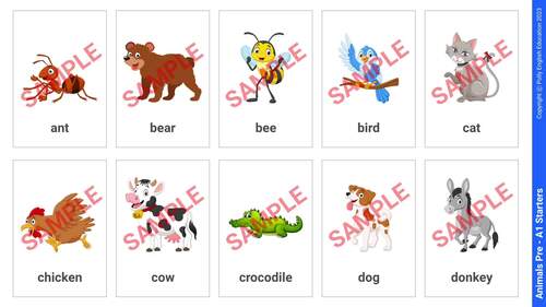Animal Flash Card Set (Starters) by Polly English Resources | TPT