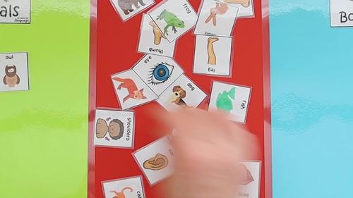 Basic Categories: Sort and Label, Autism, Speech and Language | TPT