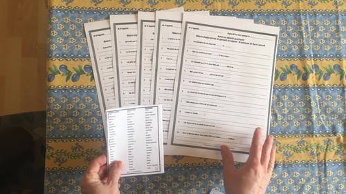 French Descriptive Adjectives Exercise Worksheet #4 | TPT