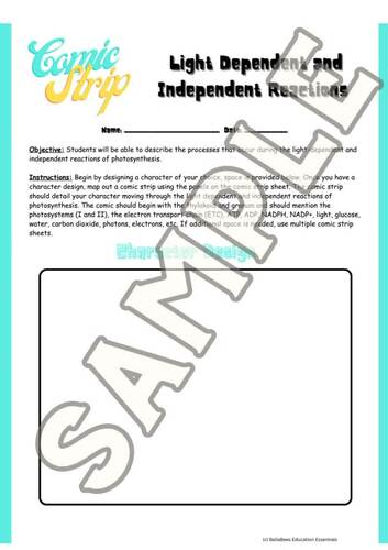 AP Biology Unit 3.4 Comic Strip Activity: Light-Dependent & Independent ...