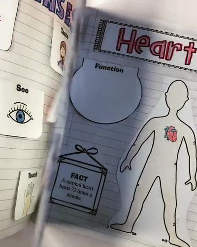 Human Body Systems Interactive Notebook By Mrs Males Masterpieces