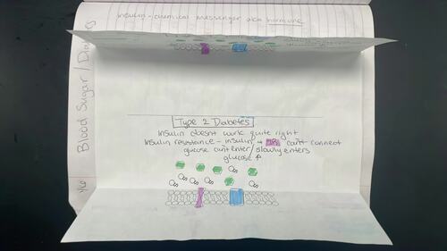 Diabetes Foldable Notes by Anyone Can Science | TPT