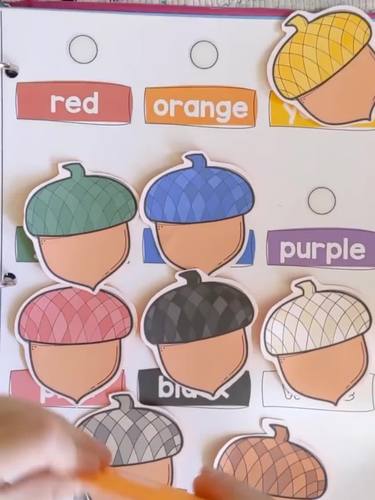 Sort by Color Folder Game - Acorns by Adventures with Bug and Peach