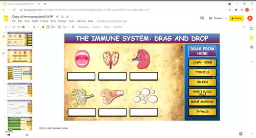 Parts Of The Immune System: Drag & Drop Worksheet: Google Slides ...