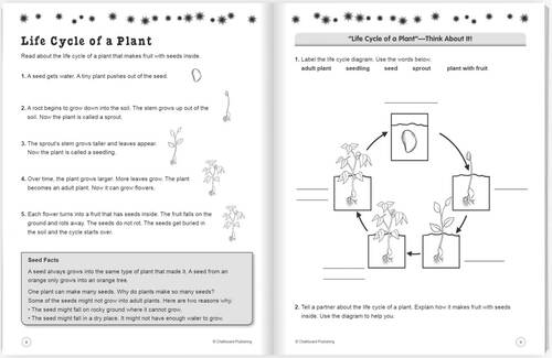 Canadian Daily STEM Activities Grade 3 by Chalkboard Publishing | TPT