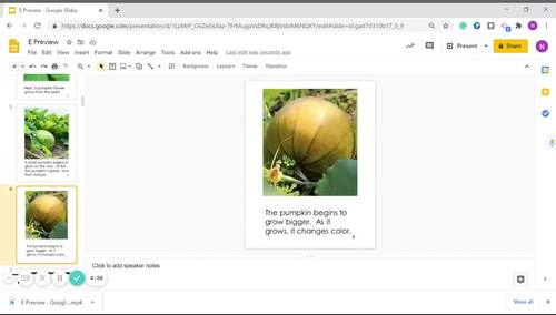 Leveled Reading Books Guided Reading PAPER AND DIGITAL Level E | TPT