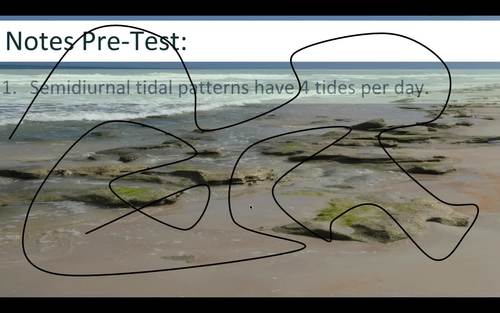 Lecture Notes How Tides Influence Abundance of Marine Life for Marine ...