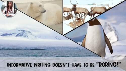 Arctic Animal Research Report BUNDLE - Informational Writing and Posters