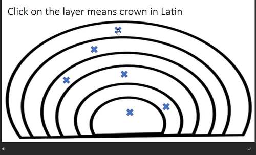 Layers of the Sun -Digital Review Activity -Google Classroom & Distance ...