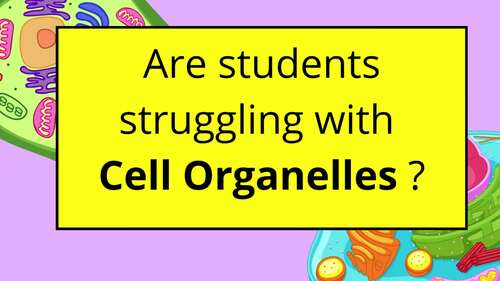 Animal Cell Eukaryotic Coloring Interactive Composition Notebook Biology