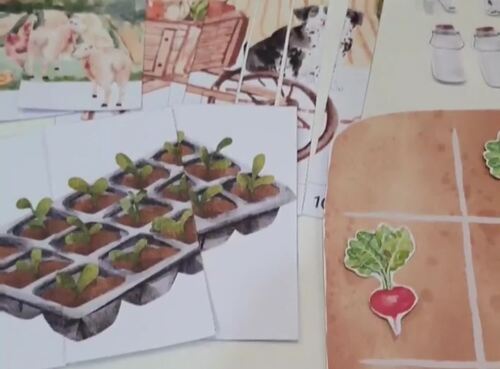 Farm Activity Pack, 48 Fruit and Vegetable Cards, CVC Words, Farm I Spy