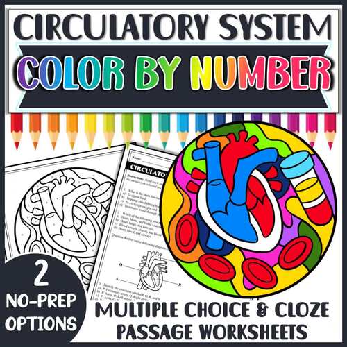 Circulatory System Color by Number | Human Body System Review Worksheet ...