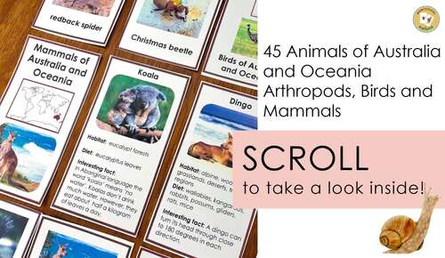 45 Animals of Australia and Oceania Montessori 3 Part Cards & Information