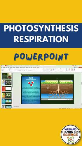 Cellular Respiration Reading Worksheet Photosynthesis Notes Activity ...