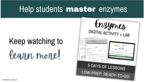 Enzyme Digital Lesson by CrouseWorks Learning | TPT