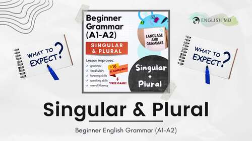 Singular & Plural - Beginner ESL Grammar for Adults & Teens (A1-A2)