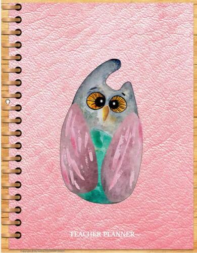 Editable Owl-Themed Teacher Binder/DATED 2024-2025 by EduSpark Depot