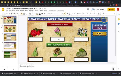 Flowering vs Non Flowering Plants:Drag & Drop Worksheet:Google Slides + PPT
