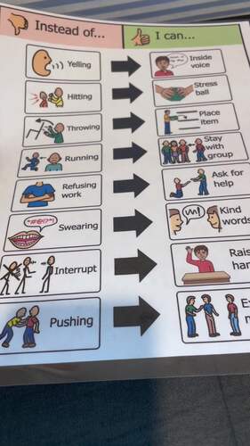 Replacement Behavior Visual Board | 8 Positive Alternatives for Autism, ABA