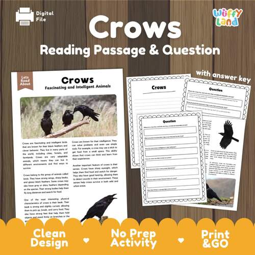 Crows Reading Comprehension Passage and Questions | Bird Biology ...