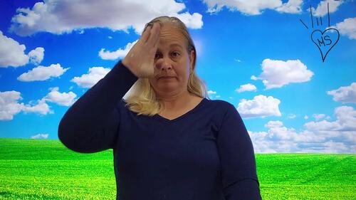 ASL Unit 7 Video 22 by Melissa Sexton | TPT