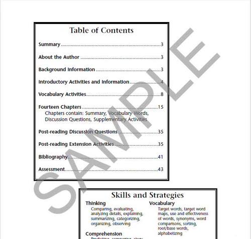 Flip-Flop Girl Novel Units® Teacher Guide Novel Study | TPT