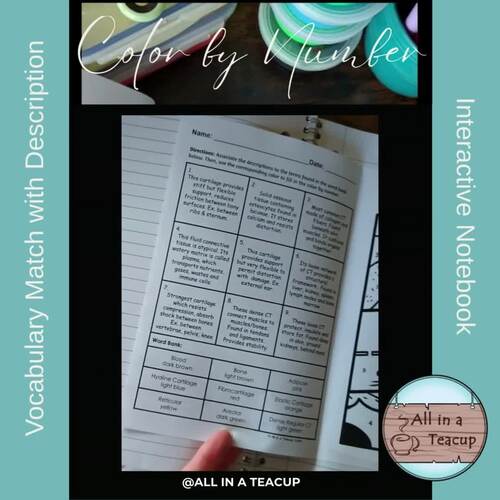 Histology Connective Tissue Terms Foldable Match & Color by Number Activity