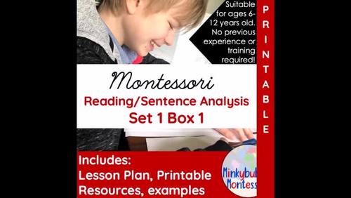 Montessori Simple Sentence Analysis Printable including EVERYTHING ...