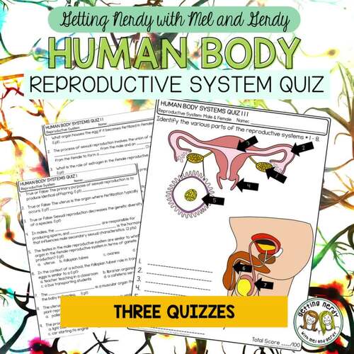 Reproductive System | Human Body | Organ Structure & Function Quizzes ...