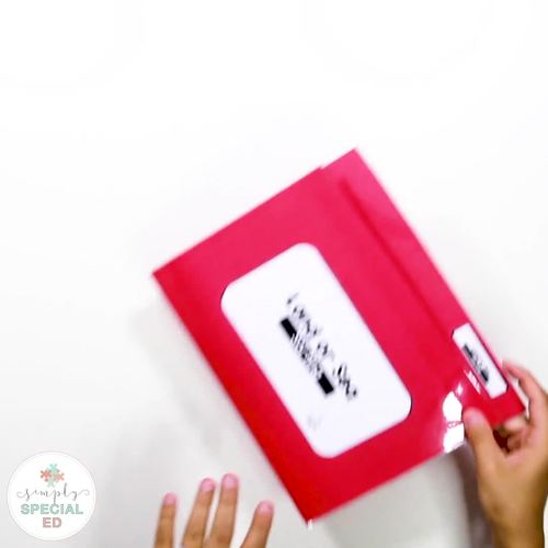 Sorting File Folders for Special Education (REAL PICTURES) by Simply ...