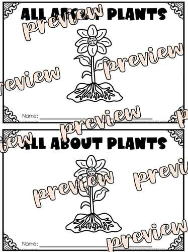 All About Plants Mini Book and Activities for Kinder First and Second