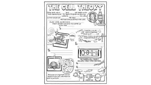 The Cell Theory Doodle Notes & Quiz | History & Modern Additions Visual ...