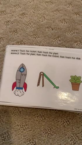 Following Directions Task Cards [ABLLS-R Aligned C50] by The Autism Helper