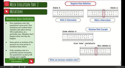 Mutation, Natural Selection, and More Interactive Diagram | TPT