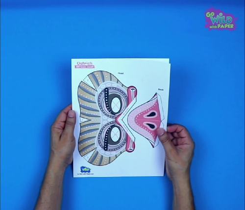 Ostrich Mask | Printable Craft Activity | African Animal Papercraft