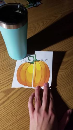Pumpkin Life Cycle Booklet by Off to the Mountains to Learn | TPT
