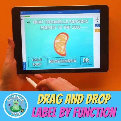 Plant Cell Review and Quiz Boom Cards - Digital Science Activity - Practice
