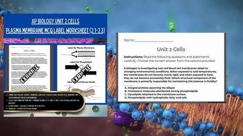 AP Biology UNIT 2 Cells 2.3 Plasma Membrane MCQ Labeling FRQ Worksheet