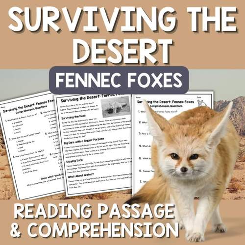 Surviving the Desert Habitat: Fennec Foxes Science Reading Passage ...