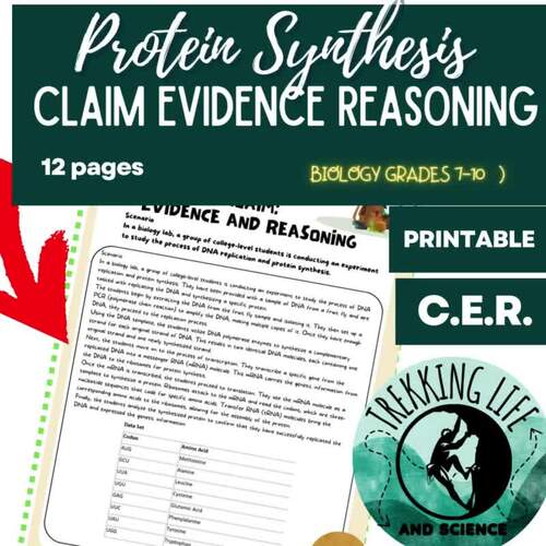 Protein Synthesis: C.E.R. Claim Evidence Reasoning: #bestsellers