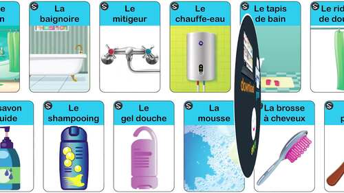 FRENCH Body Hygiene Vocabulary Montessori Flashcards - L'hygiène: (9x6cm)