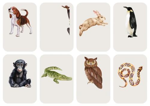 48 English-Korean Flashcards with Romaji | Animals by The Digivita